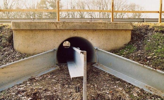 Les écoducs, des ponts végétalisés dédiés au passage des animaux