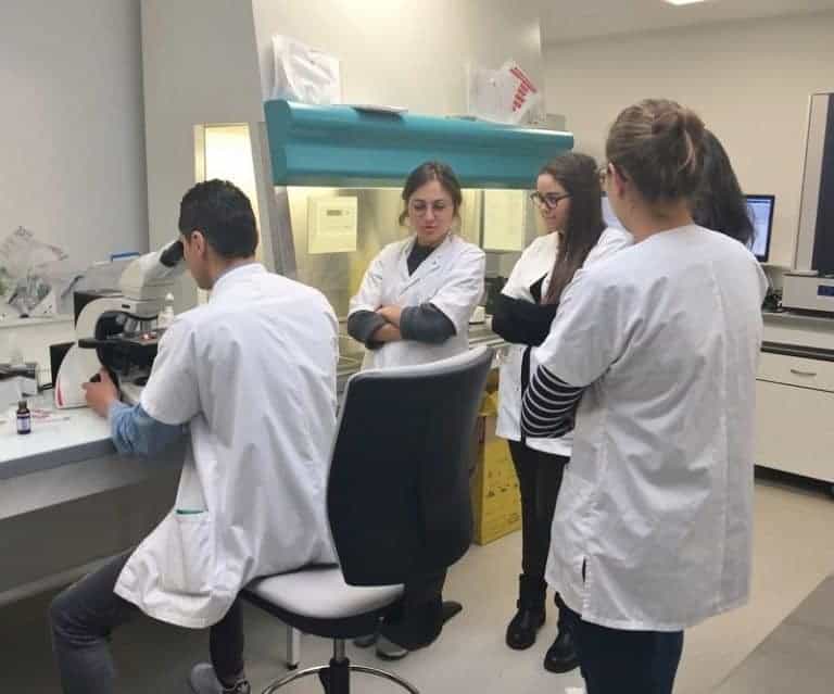 Marseille – L'IHU Méditerranée Infection ouvre ses portes à La Timone ...