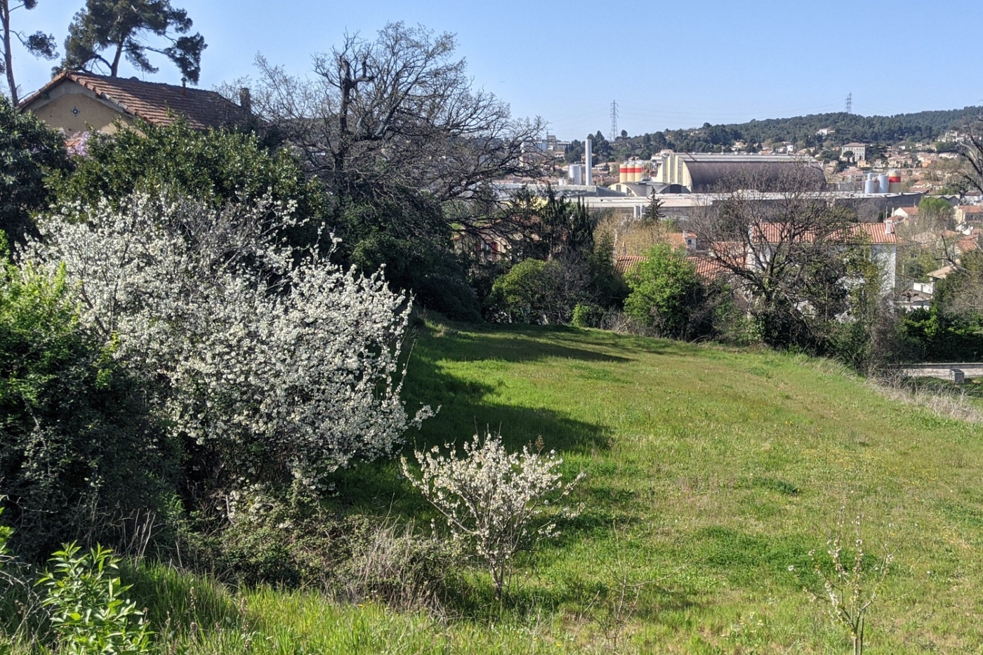 Marseille : une nouvelle vague d'agriculteurs bio s'installe en ville