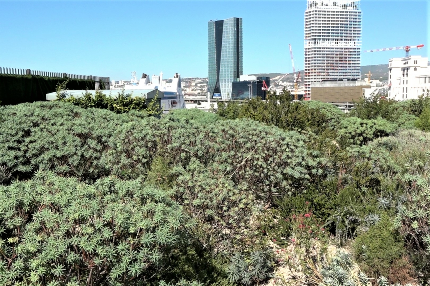 Un projet de potager urbain sur le toit des Terrasses du Port