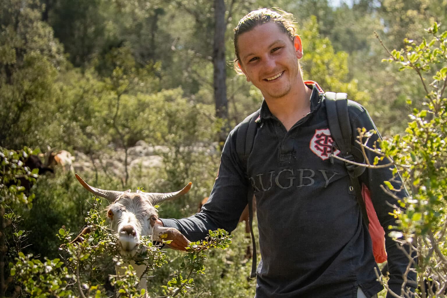 À la rencontre d'un éleveur de chèvres du Rove à Cuges-les-Pins