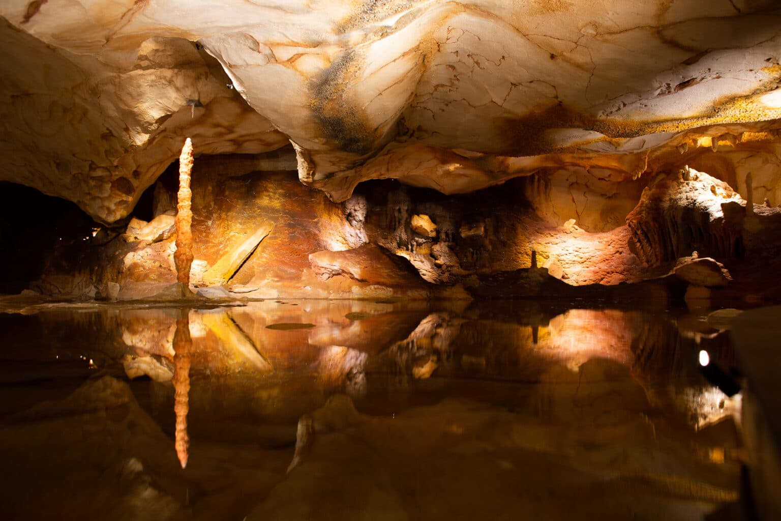 En images | Plongée dans la Préhistoire au coeur de la grotte Cosquer ...