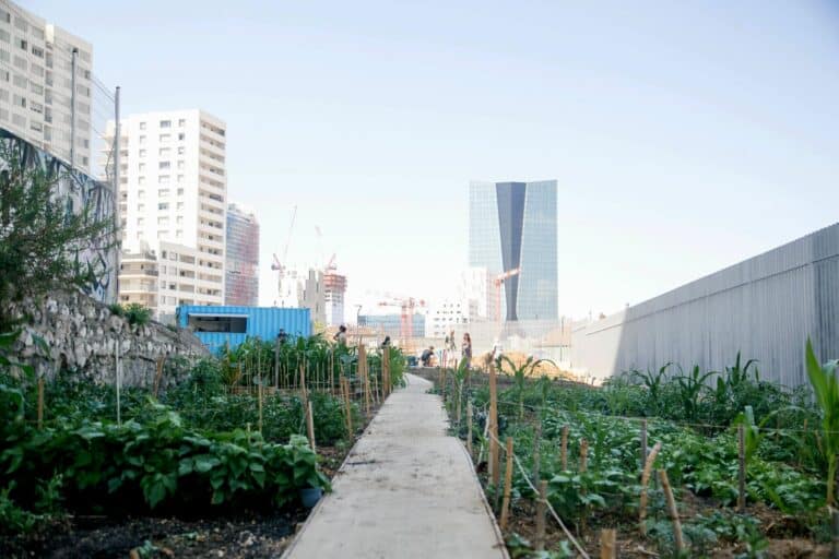 Un jardin partagé voit le jour au pied des tours de la cité Félix-Pyat