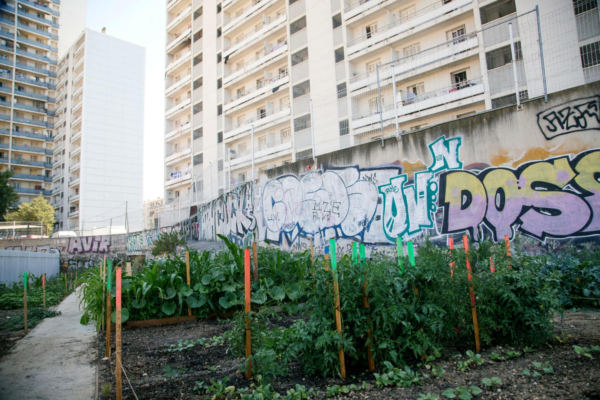 Un jardin partagé voit le jour au pied des tours de la cité Félix-Pyat