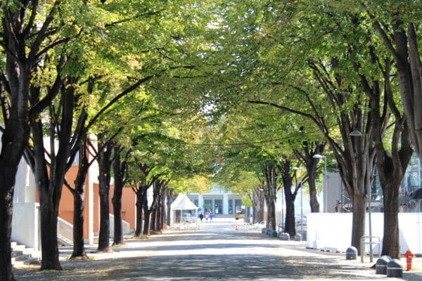 GL Events veut « créer un vrai lieu de vie » sur le parc Chanot | Made ...