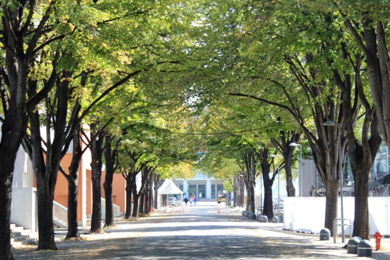 GL Events veut « créer un vrai lieu de vie » sur le parc Chanot | Made ...