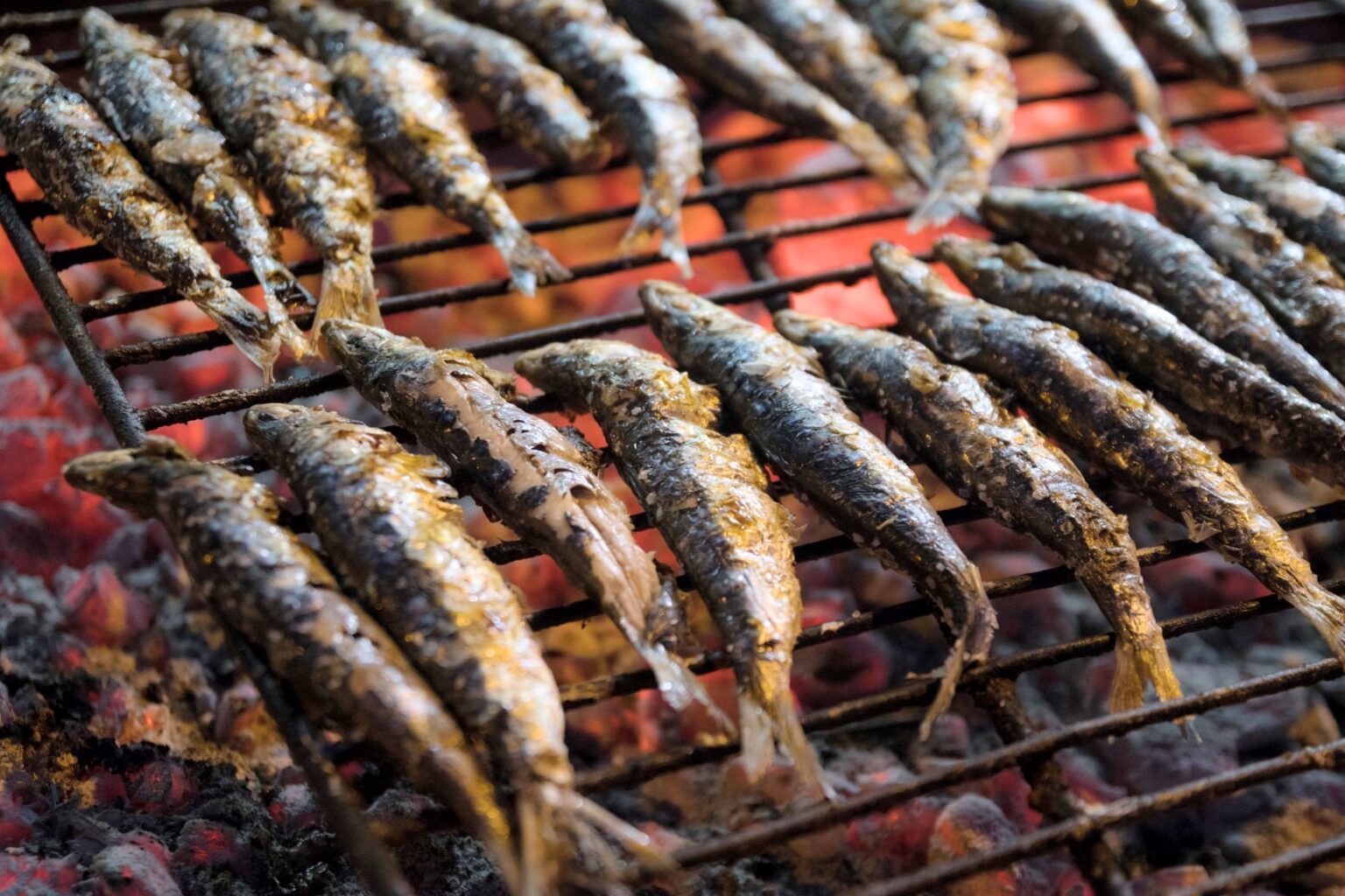 Sardinade géante et animation musicale ce jeudi place Bargemon
